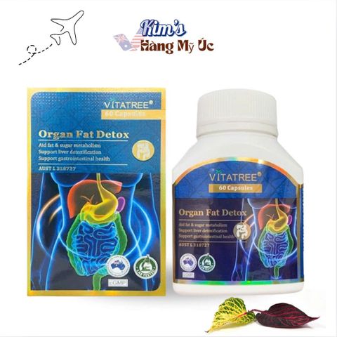 Viên Uống Hỗ Trợ Thải Mỡ Nội Tạng Vitatree Organ Fat Detox 60 Viên - Hỗ ...