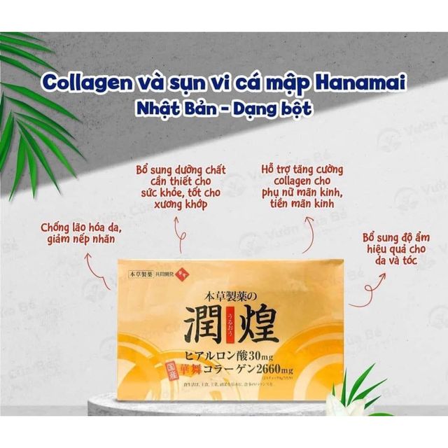 Collagen Hanamai Gold Nhật Bản dạng bột 60 gói