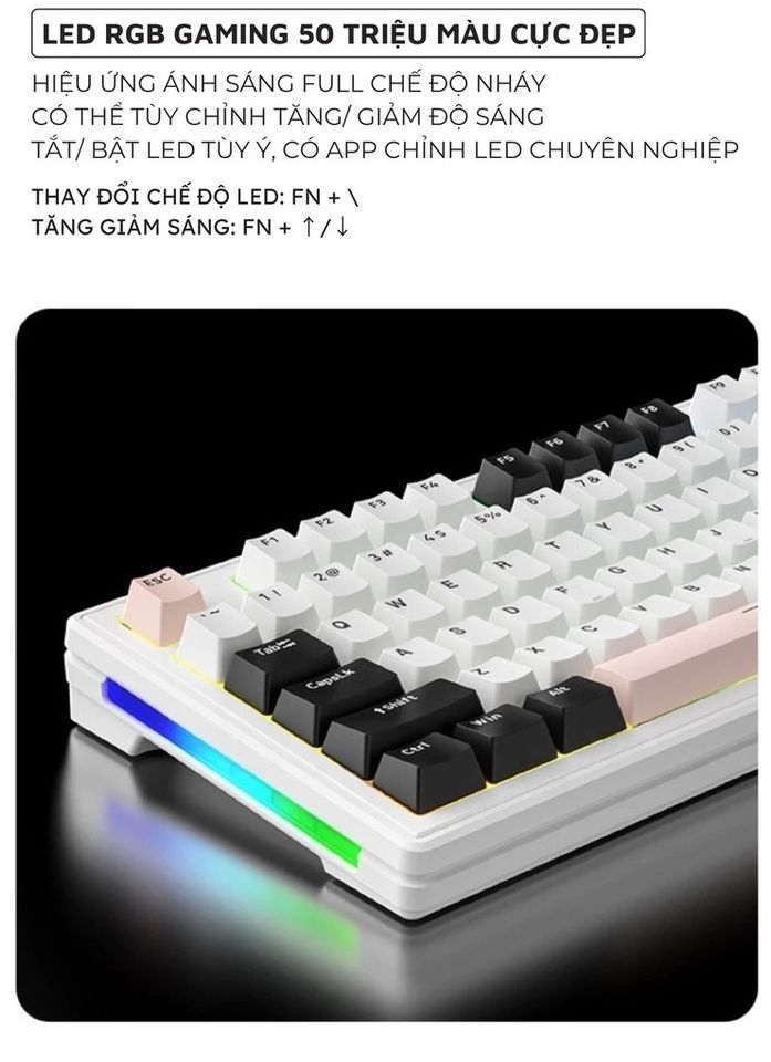 Bàn Phím Cơ Gaming Không Dây Bluetooth XM87 V2 Pro New 2024 | Chiaki.vn
