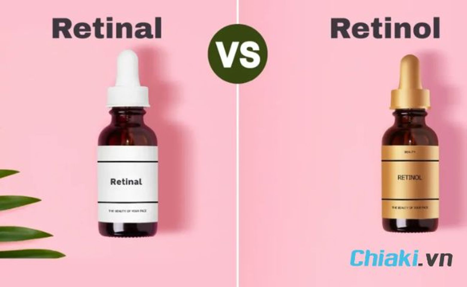 Retinal là gì? Retinal khác gì Retinol? Cách sử dụng Retinal