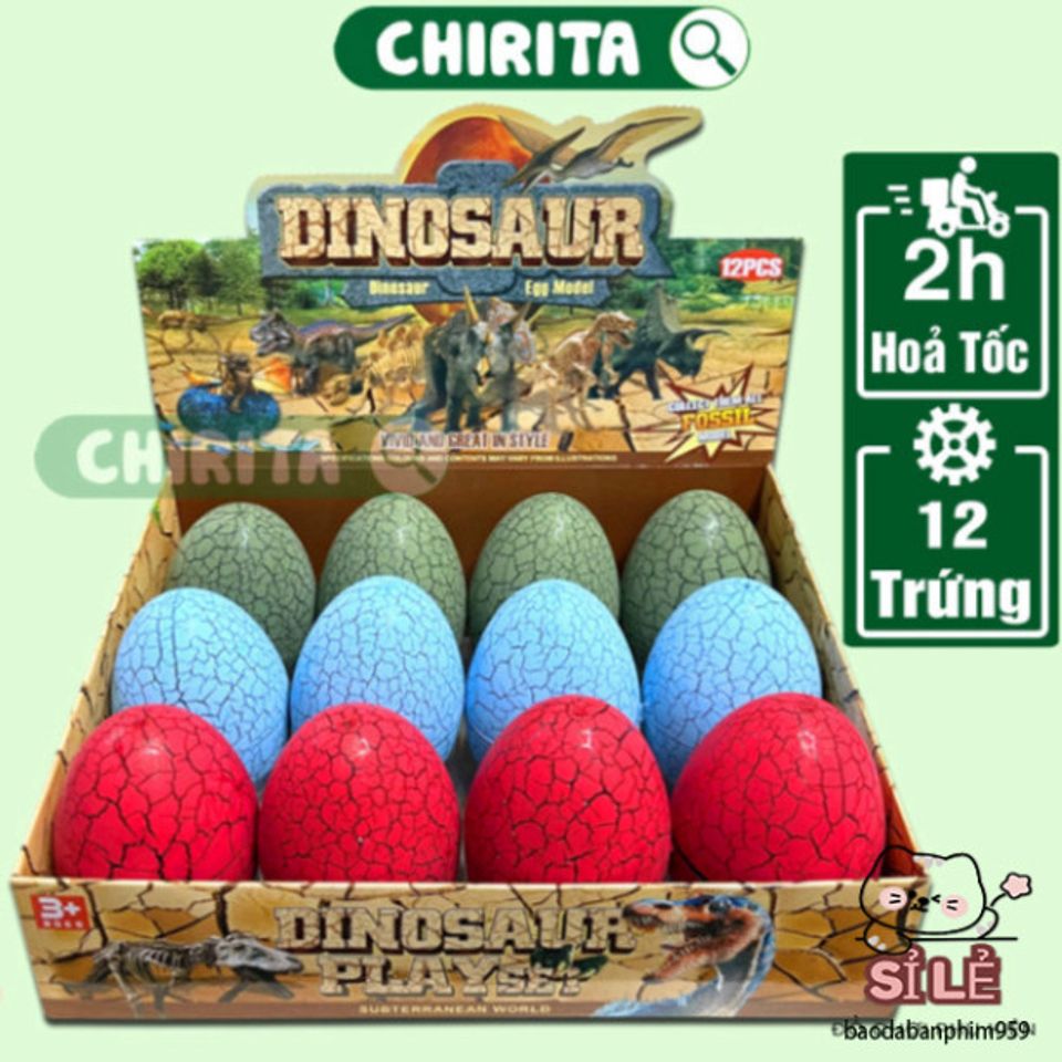 Bộ 12 Trứng Lắp Ráp Khủng Long Chirita - Đồ Chơi Sáng Tạo Phát Triển Kỹ ...