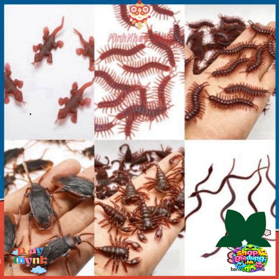 Đồ Chơi Côn Trùng Giả - Bộ 10 Chi Tiết Bọ, Rết, Gián, Bọ Cạp Mô Phỏng ...